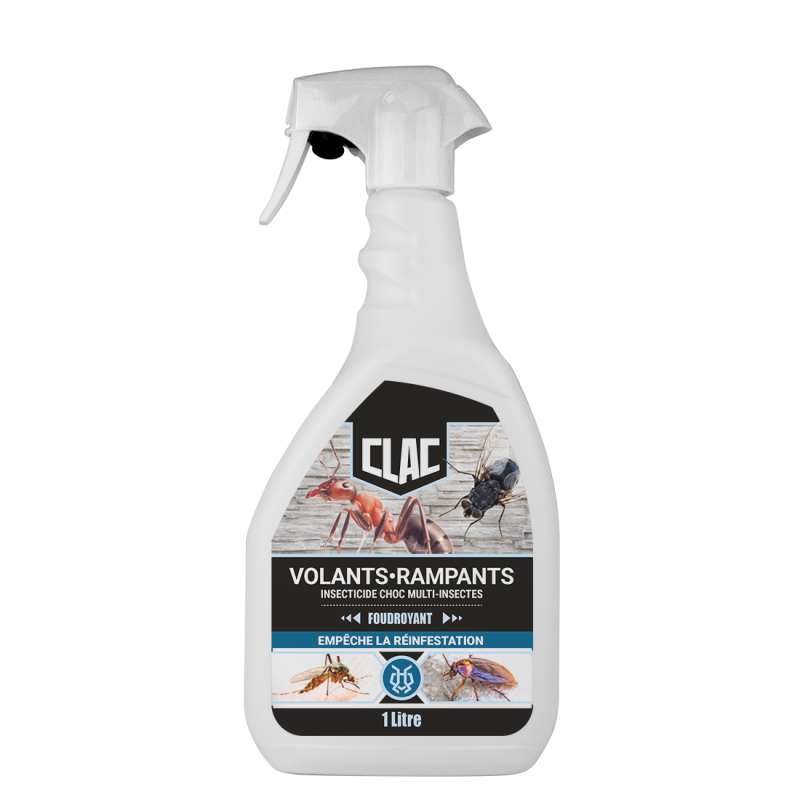 Insecticide volants rampants choc pulvérisateur 1l