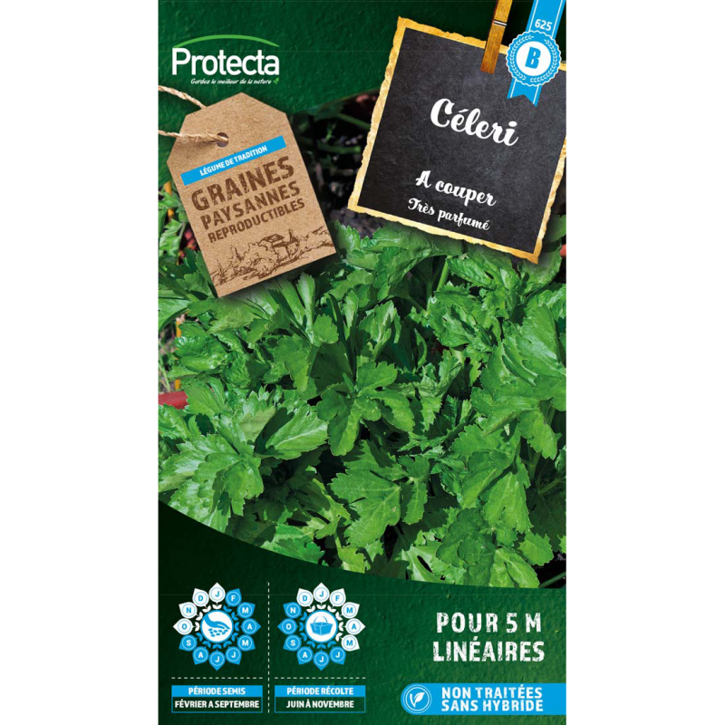 Céleri à Couper