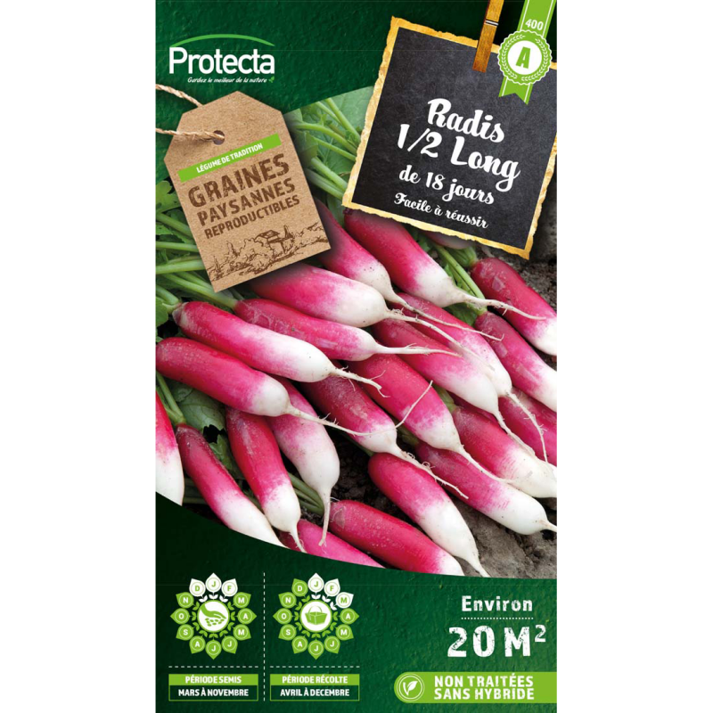 Radis 1/2 long de 18 Jours - Protecta