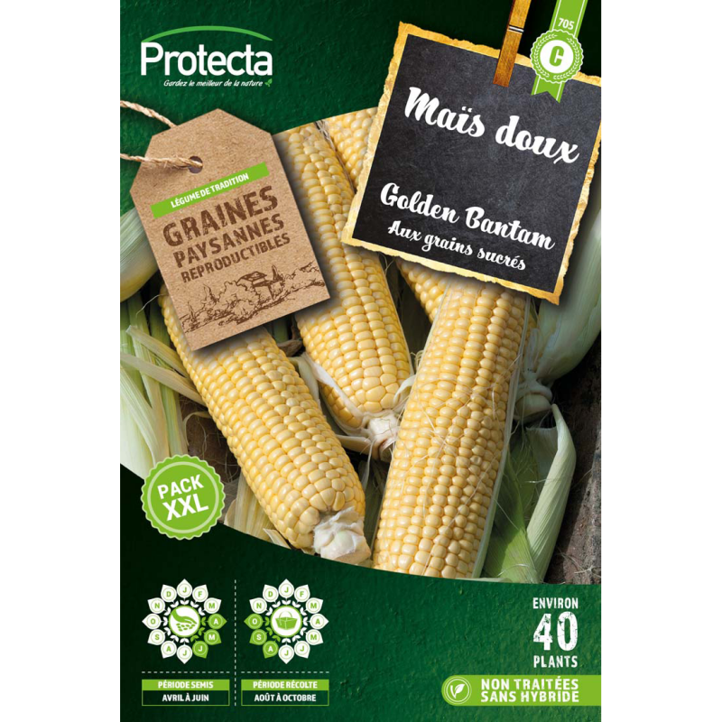 Maïs Doux Golden Bantam